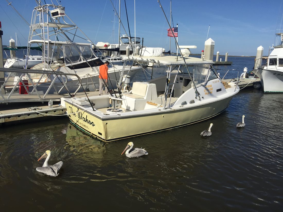 AC Charters Inc. - Amelia Island