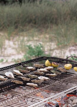 Amelia Island Cookout - Amelia Island