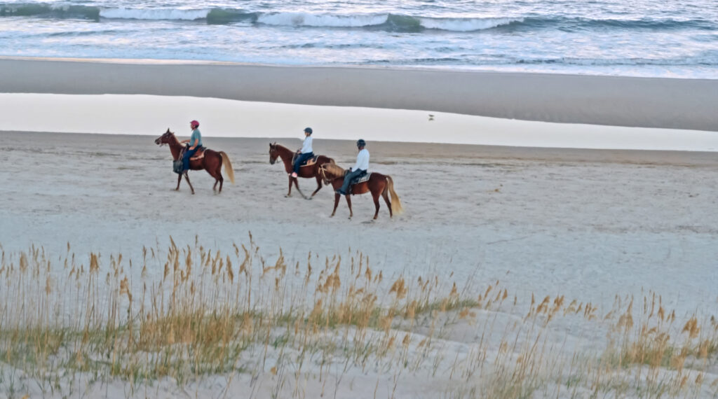 Amelia Island Horseback Riding - Amelia Island