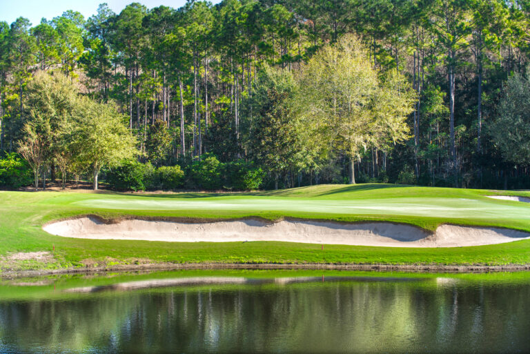 Amelia National Golf & Country Club - Amelia Island