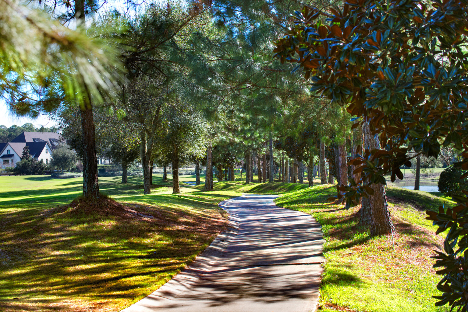 Amelia National Golf & Country Club - Amelia Island