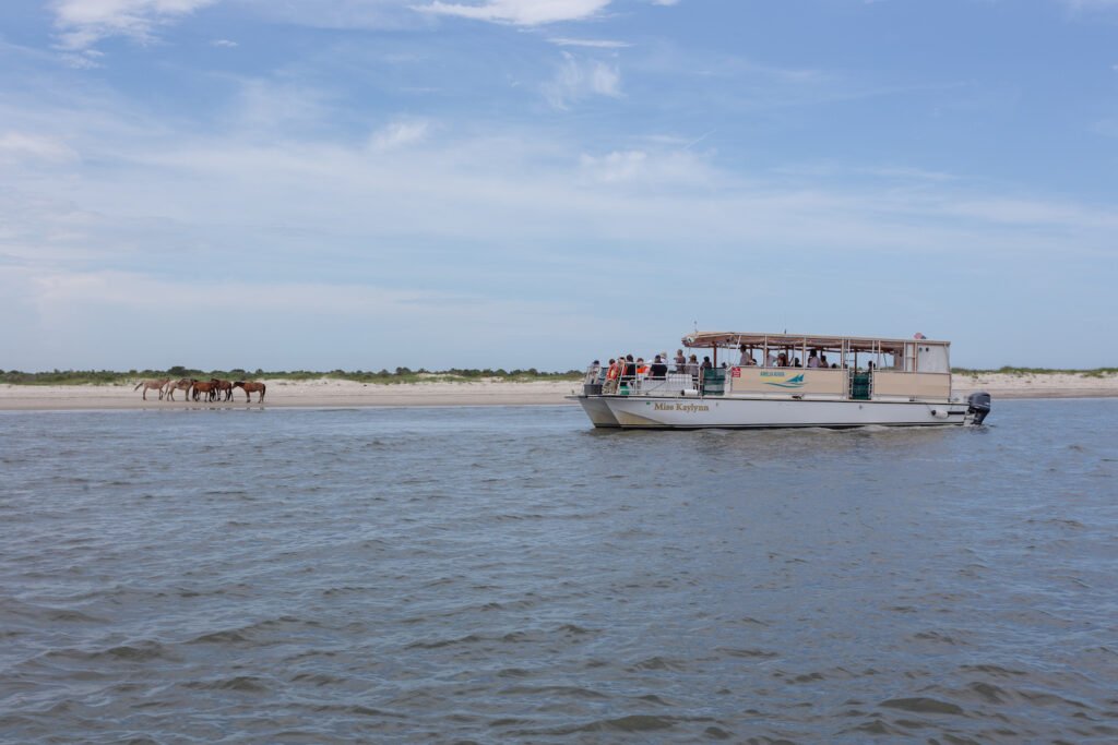 Amelia River Cruises & Charters - Amelia Island