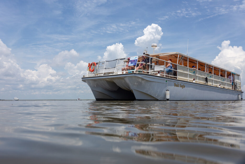 Amelia River Cruises & Charters - Amelia Island