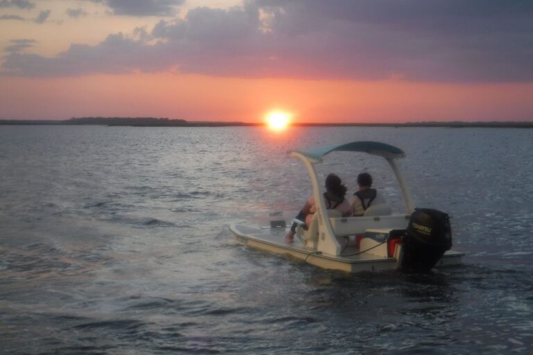 Sights, Sips, and Sunsets on the Water: Cruises, Tours, and Charters ...