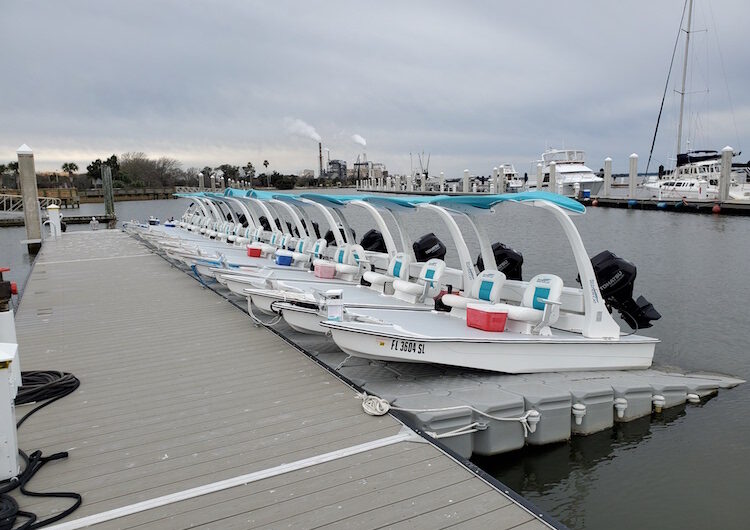 Backwater Cat Adventure - Amelia Island