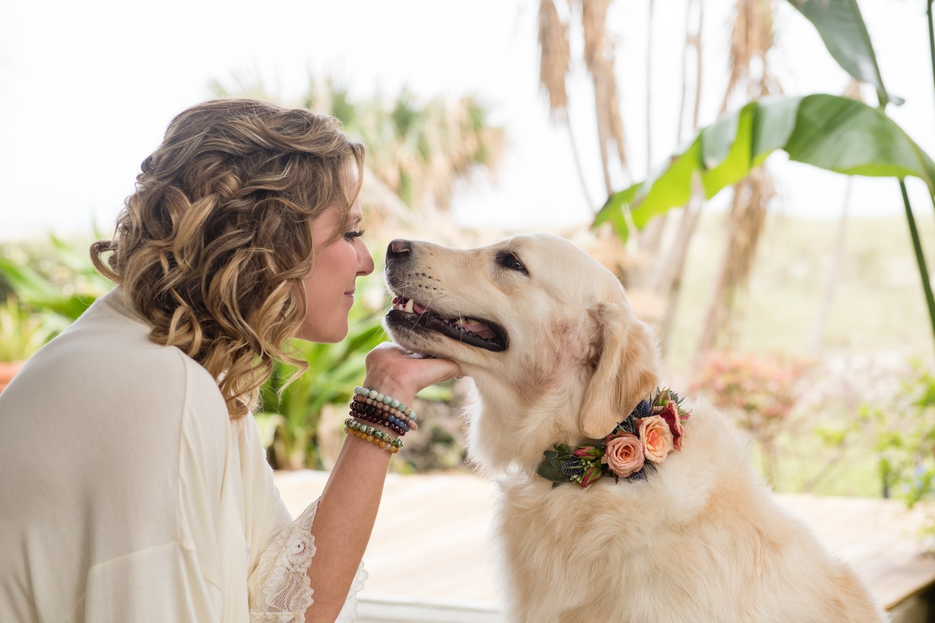 Paws And Reflect: Exploring Amelia Island Through The Eyes Of A Dog ...