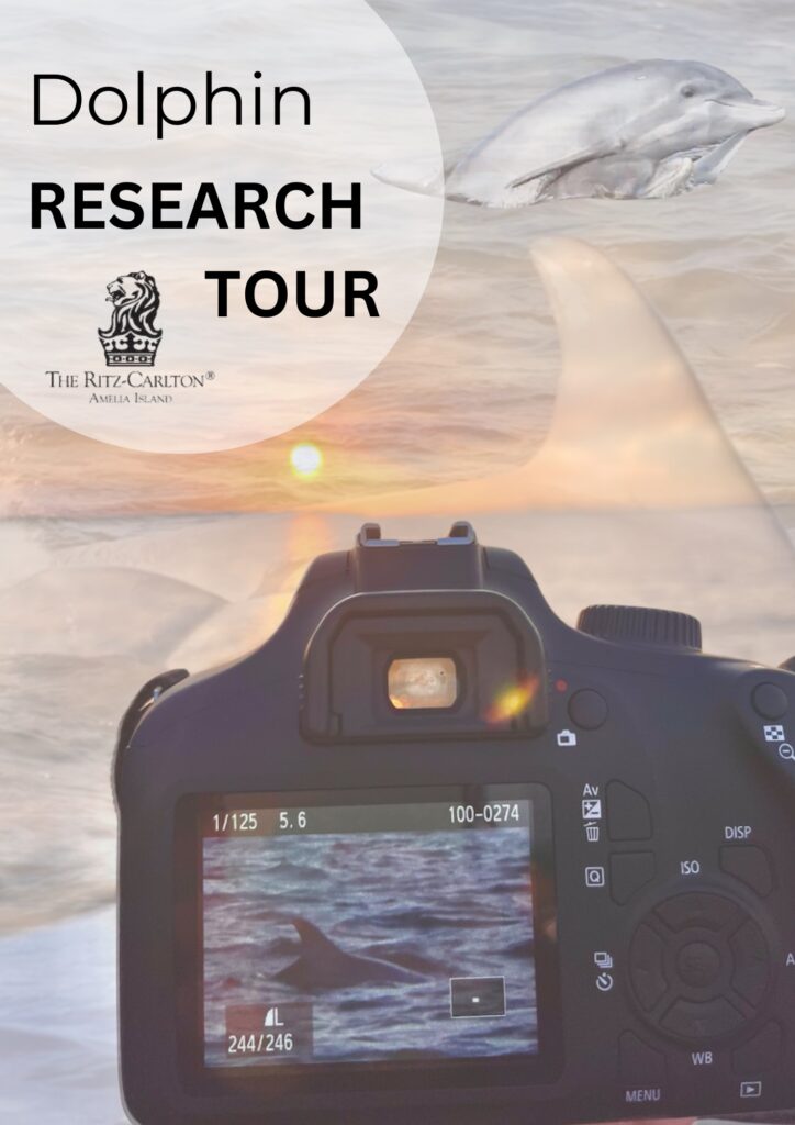 Dolphin Research Tour - Amelia Island