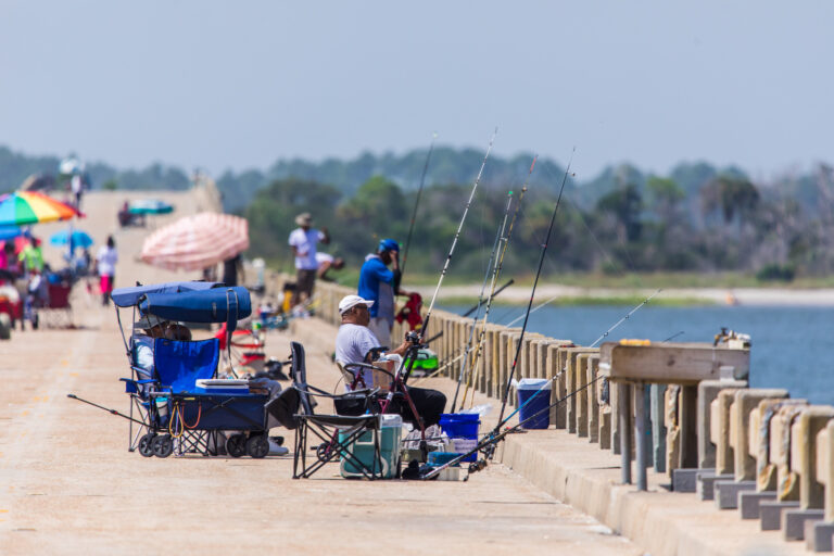 Amelia Island State Park and George Crady Bridge - Amelia Island