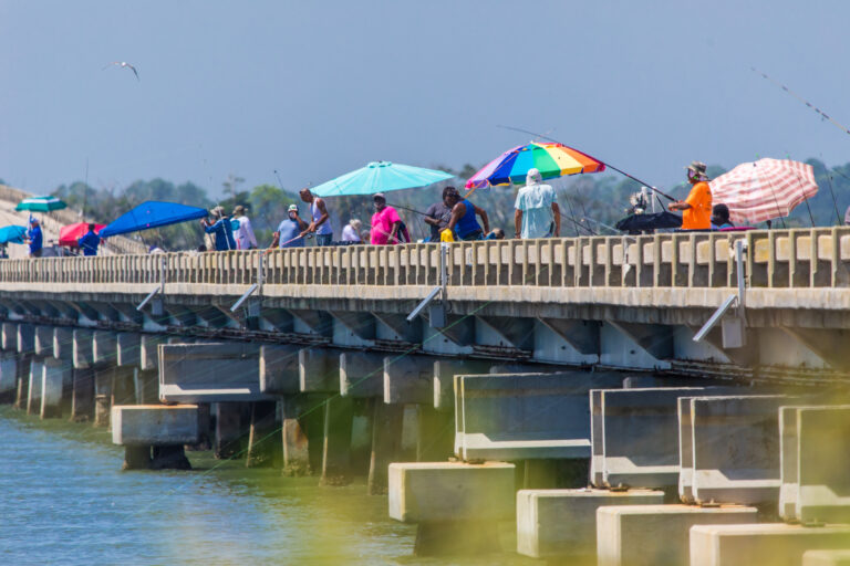 Amelia Island State Park and George Crady Bridge - Amelia Island