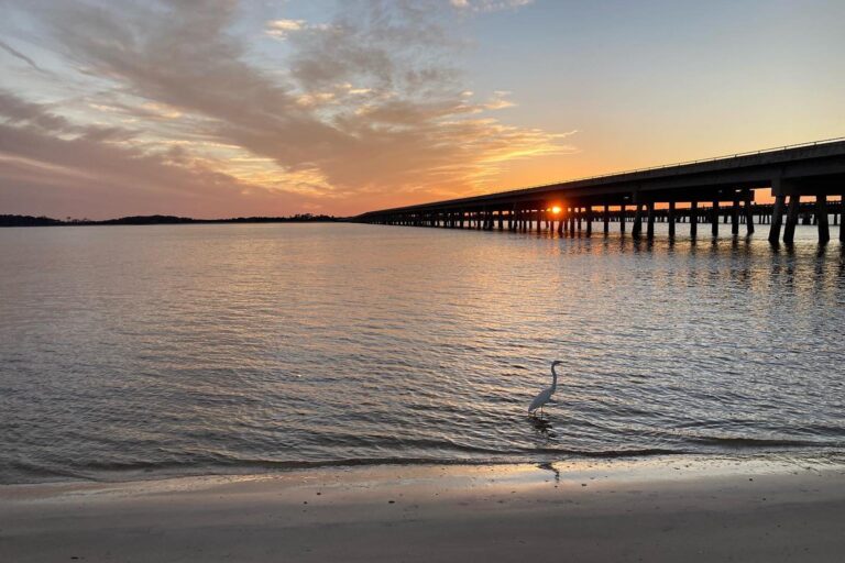 Amelia Island State Park and George Crady Bridge - Amelia Island