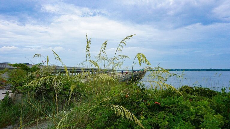 Amelia Island State Park and George Crady Bridge - Amelia Island