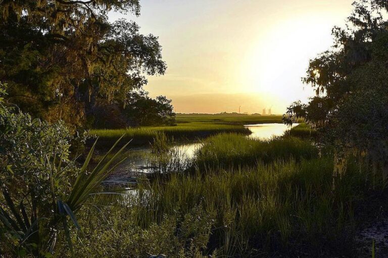 From A - Z: 26 Things To See & Do On And Around Amelia Island - Amelia ...
