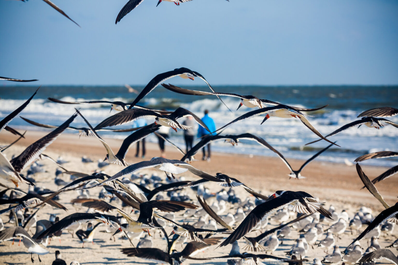Main Beach Park – Amelia Island