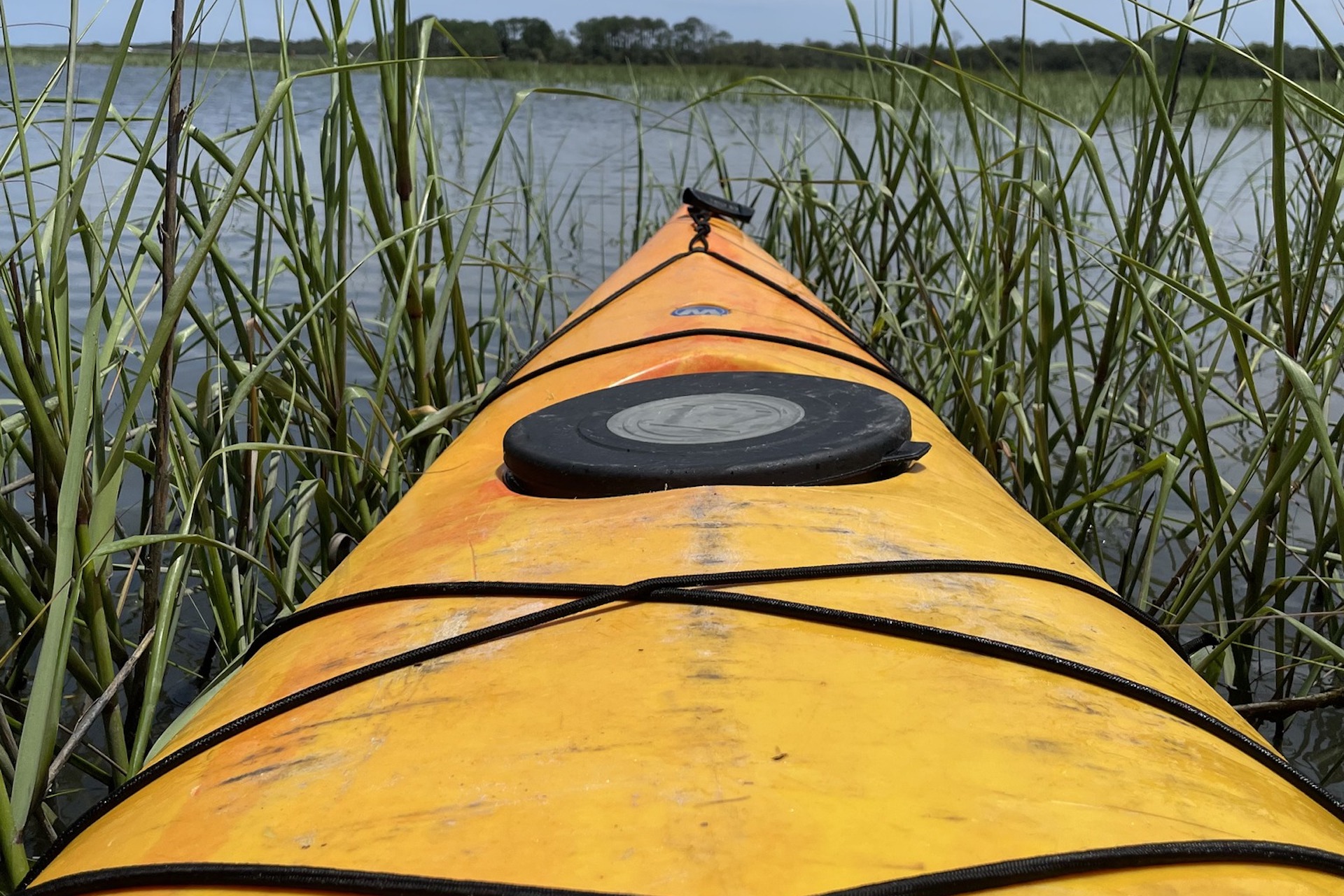 Your Guide to Kayaking On and Off Amelia Island - Amelia Island