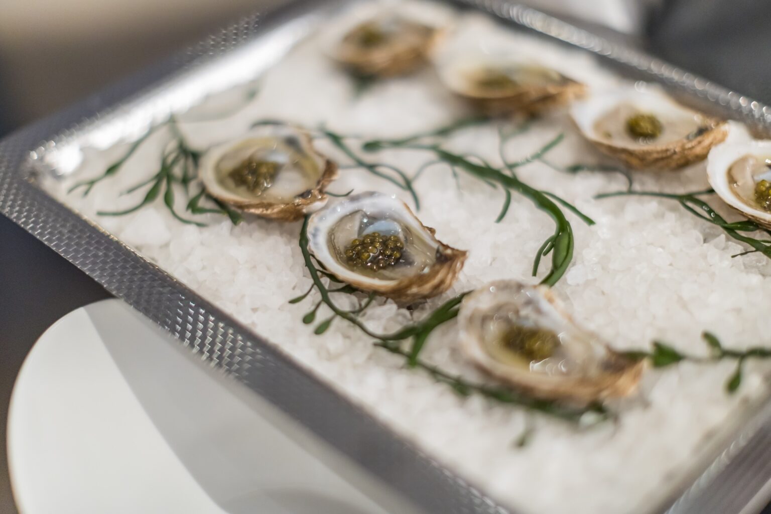 Salt at The Ritz-Carlton, Amelia Island - Amelia Island