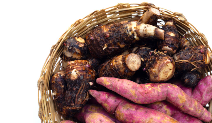 Omni Amelia Island Resort – Amelia Island