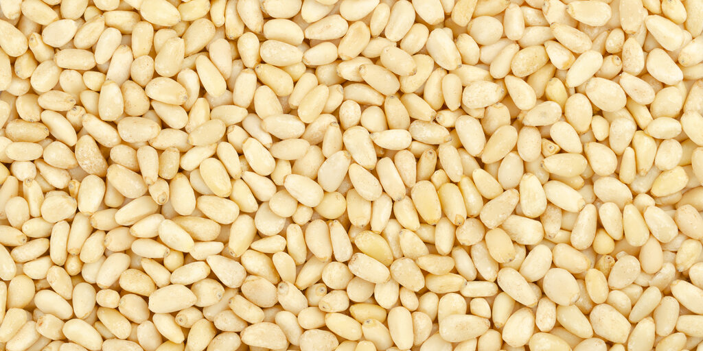 The Sprouting Project Dinner | November Theme: Kernel - Amelia Island