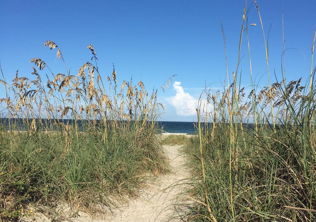 5 Reasons To Choose Amelia Island This Spring - Amelia Island
