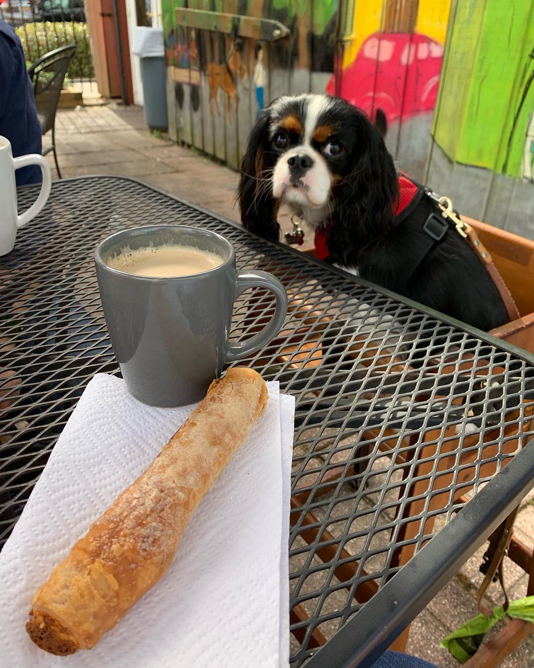 Must Try Local Coffee Shops - Amelia Island