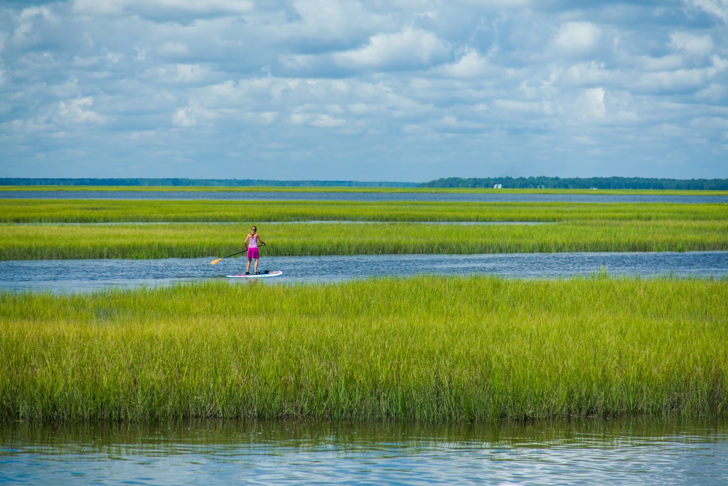 Things to Do - Amelia Island